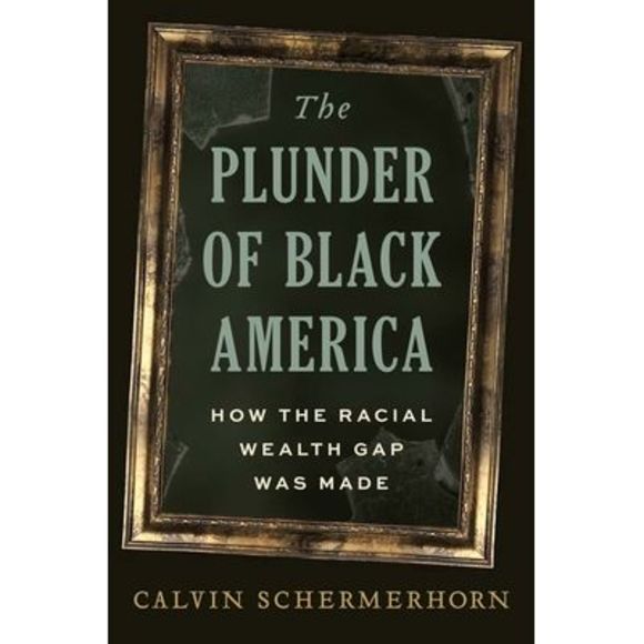 Calvin Schermerhorn | Other | The Plunder Of Black America How The ...